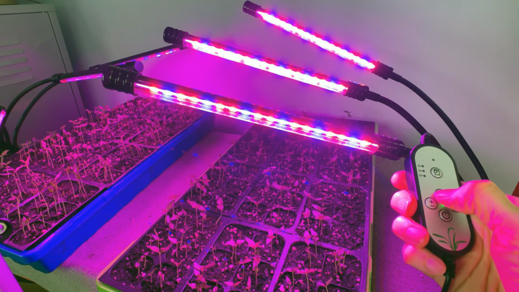 LED Grow Lights - Know the Truth vs the Enormous Hype